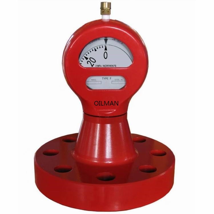 Oilfield Drilling Mud Pump Pressure Gauge Flange Connection 6000psi
