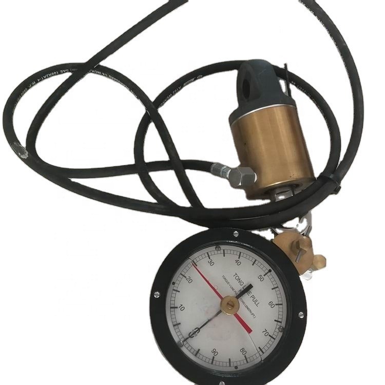 Tong Torque And Tong Line Pull Tension Indication System
